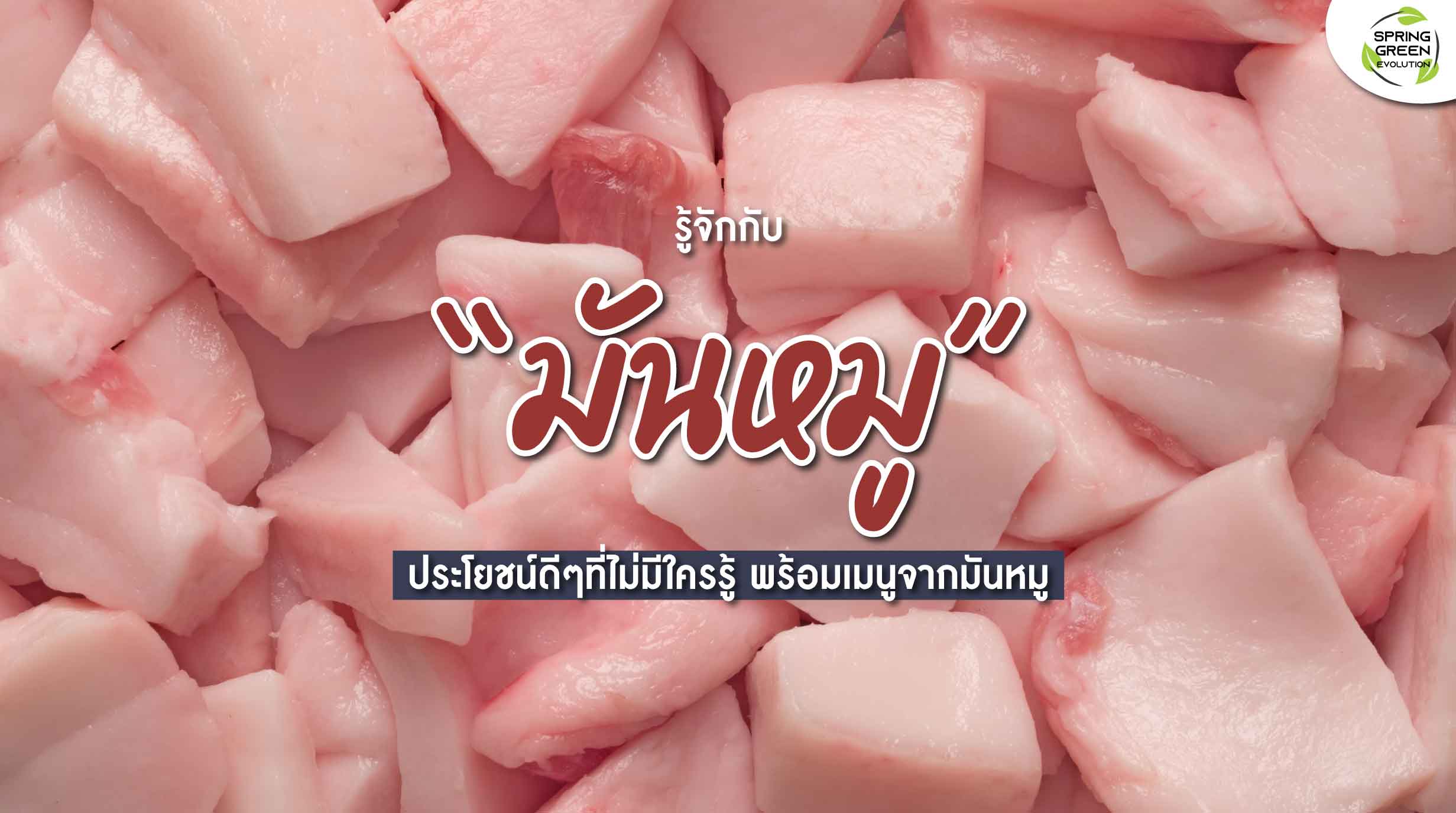 มันหมู กับประโยชน์ที่คุณอาจจะยังไม่รู้ พร้อมเมนูอร่อยๆ