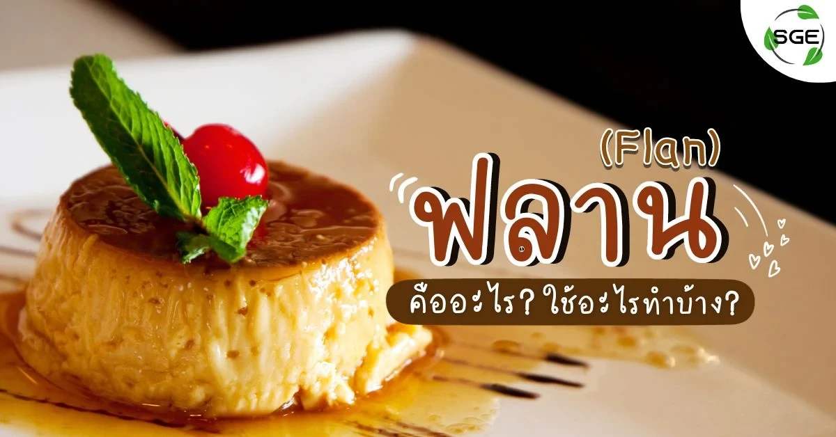 ฟลาน (Flan) คืออะไร? มีอะไรบ้าง? พร้อมแจกสูตรโฮมเมดแบบง่าย ๆ